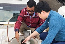 Panda Cement Bulker Trailer Manufacturer